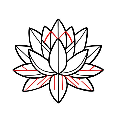 How To Draw Water Lilies 7 Drawing Guides In One Tutorial