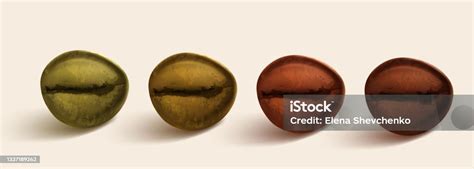 다채로운 배경에 고립 된 커피 로스팅 로스팅의 다양한 단계를 보여주는 사실적인 세트 갈색에 대한 스톡 벡터 아트 및 기타 이미지 갈색 개체 그룹 검은색 Istock