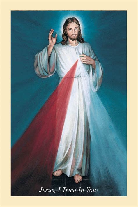 Divine Mercy In Our Souls Diocese Of Venice