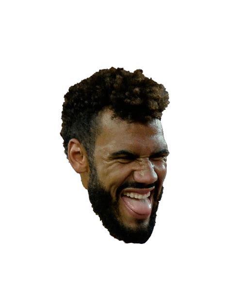 개추가 절로 올라가는 짤 해외축구 에펨코리아