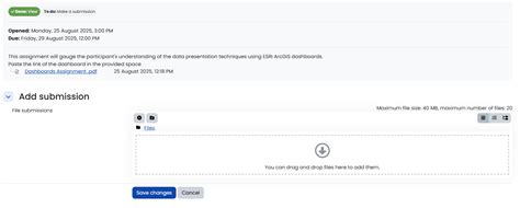 dashboards assignment requires a file submission instead of text rcoe community
