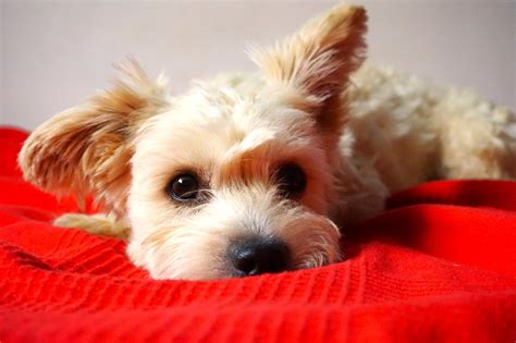 No Name Noname8055493 Twitter