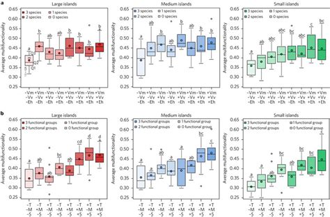 Influence Of Plant Species And Functional Group Removals On Ecosystem Download Scientific