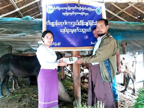 ဝါးခယ်မမြို့နယ်တွင် တိရစ္ဆာန် ရောဂါကာကွယ်ထိန်းချုပ် ခြင်းဆိုင်ရာ လှုပ်ရှားမှု ရက်သတ္တပတ်အဖြစ