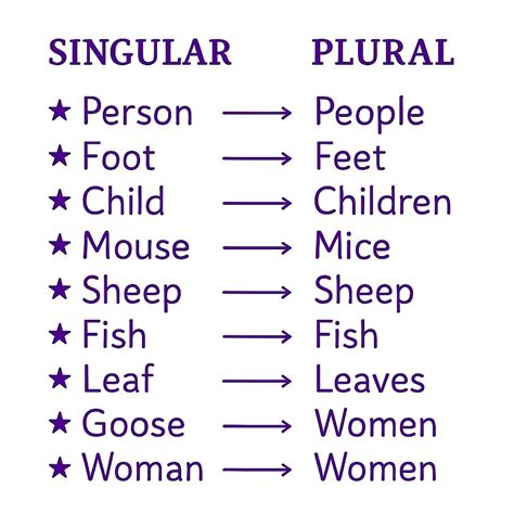 English Singular Vs Plural ‼️ Number Singular Plural Singularvsplural English Learn