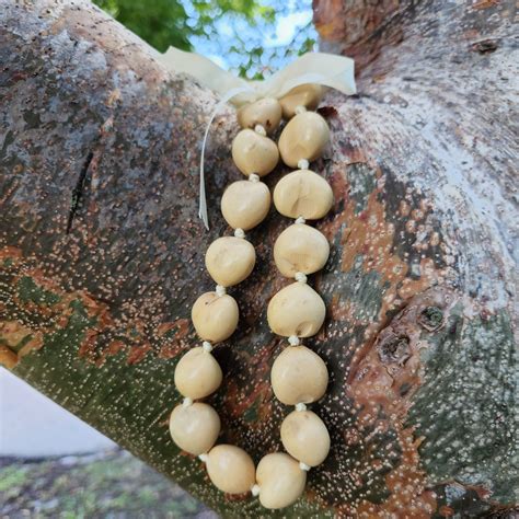 Kukui Nut Necklace Peaceful Mind