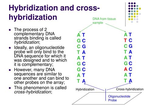 Ppt Detection And Compensation Of Cross Hybridization In Dna Microarray Data Powerpoint