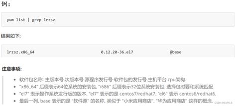 【linux】软件包管理器 Yumyum 包管理器 Csdn博客