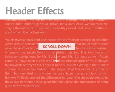 On Scroll Header Effects JQuery Plugins
