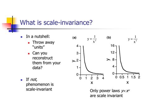 Ppt Scale Invariance In Cognition Powerpoint Presentation Free Download Id 737462