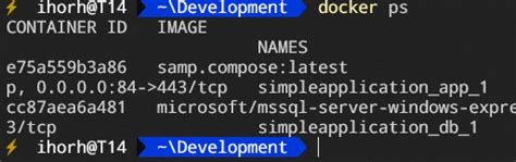 Aspnet Mvc Not Core In Windows Docker Container Ihor Hadzera