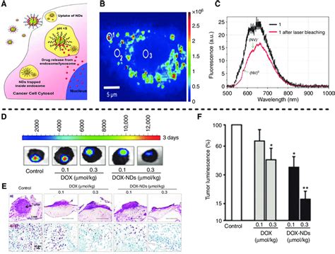 Biological Applications Of Fluorescent Nanodiamonds In Drug Delivery Download Scientific