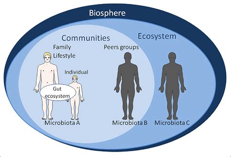 Figure 1 From The Microbiological Memory An Epigenetic Regulator