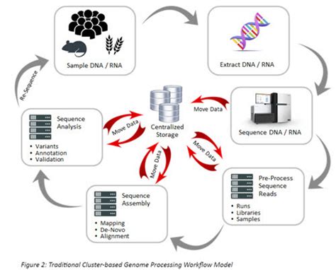 High Throughput Genomic Sequencing Workflow Inside Hpc And Ai News