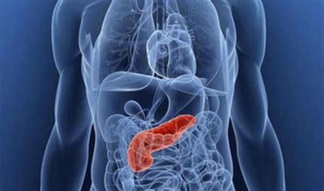 【j Hematol Oncol】多中心临床研究：血浆细胞外囊泡mrna用于胰腺导管腺癌患者的生存预测 知乎