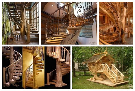 Creative Whole Tree Architecture 6 Unique Ideas The Owner Builder Network