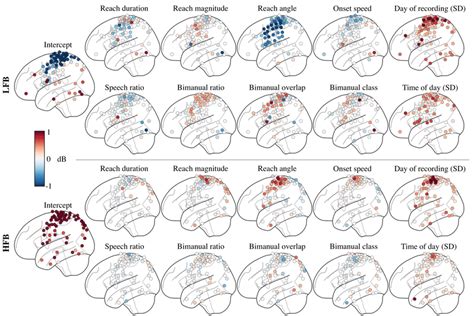 Coefficient Weights Of The Multiple Regression Model Showing Magnitude Download Scientific