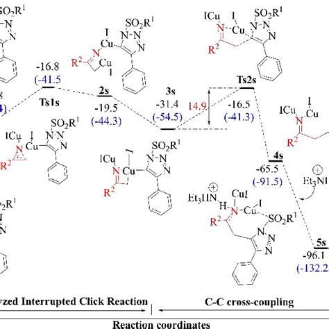 Calculated Energy Profiles Of Binuclear Copper I Catalyzed Interrupted Download Scientific