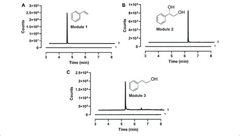 Extracted Ion Chromatograms Eic Of The Gc Ms Detection Of A Download Scientific Diagram