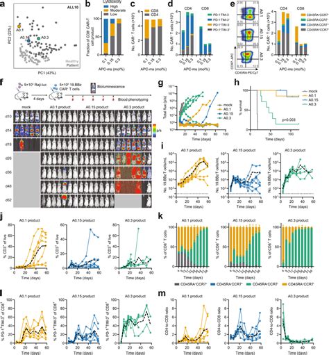 Stimulation Dose During T Cell Activation Tunes Car T Cell