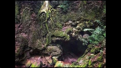 මෙහෙම තැනක් ගැන දැනන් හිටියද 😮😱වවුලන් ලක්ෂ 10කට වඩා ජීවිත් වන ඩයිනෝසර පොසිල තියෙන වවුල්පනේ