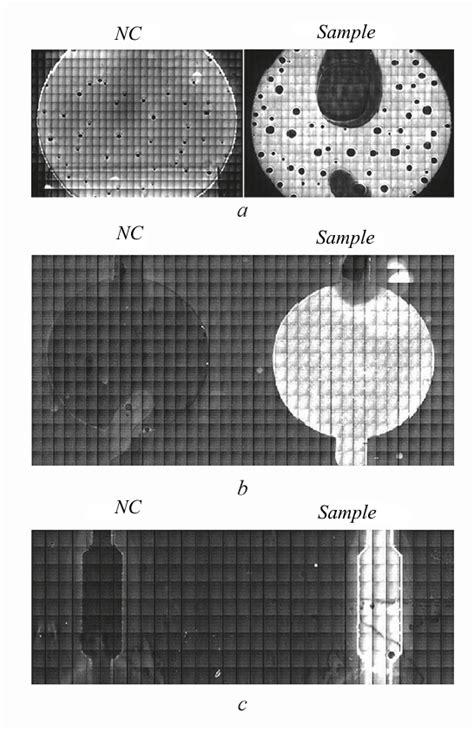 Scanning Of Reaction Chambers After Hda On Various Microchip Devices