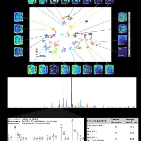 self supervised clustering results on a publicly available maldi mouse