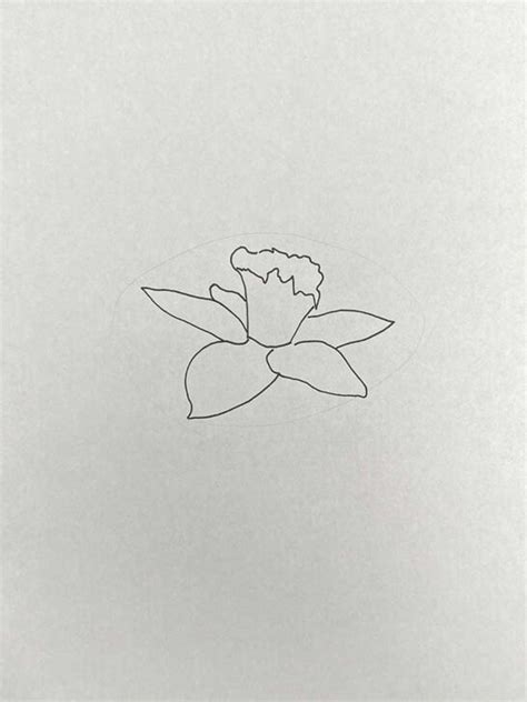 How To Draw A Daffodil From Multiple Views Picture Box Blue