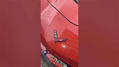 Corvette C7 ავტოპარკის ახალი წევრი 🎀 Corvette Youtube