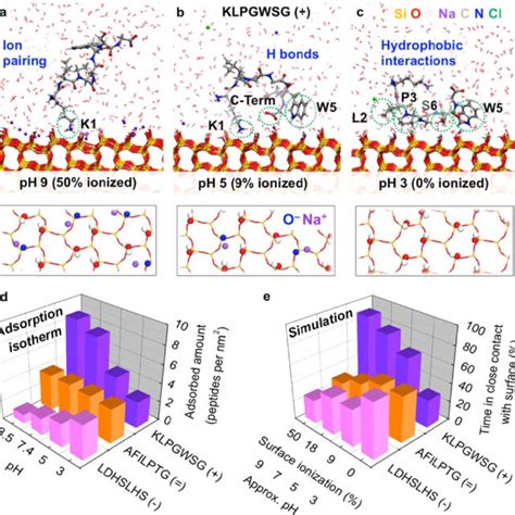 Selective Binding Of Peptides To Silica Surfaces As A Function Of Ph Download Scientific