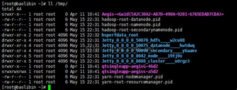 Hadoop 的pid路径问题hadoop启动pid文件目录配置 Csdn博客