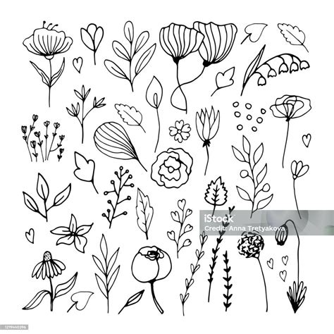 그래픽 꽃과 허브 요소의 귀여운 손으로 그린 세트입니다 웨딩 디자인 로고 및 인사말 카드에 대한 낙서 벡터 그림 멜라루카에 대한 스톡 벡터 아트 및 기타 이미지 Istock