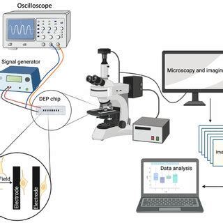 Schematic Of The Experimental Setup Including An Oscilloscope Signal Download Scientific
