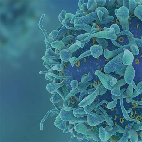 Cell Killing Application Note Sartorius