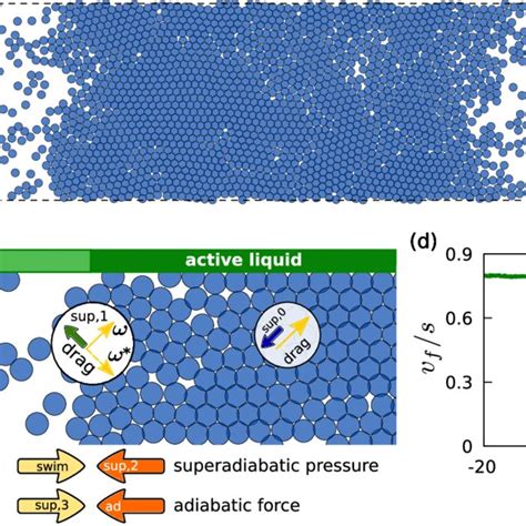 Nonequilibrium Phase Diagram As A Function Of Scaled Density ρ B σ 2 Download Scientific