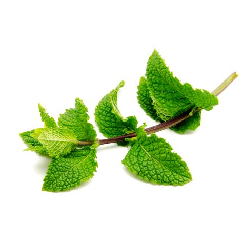 Menthe Fruits Légumes And Produits Locaux