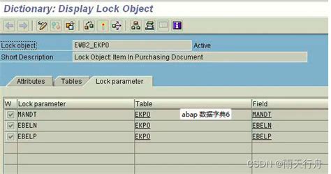 Sap Abap 数据字典教程 Se11:表、锁定对象、视图和结构 03 源码巴士 Sap Abap 数据字典教程 Se11:表、锁定对象、视图和结构 03 源码巴士