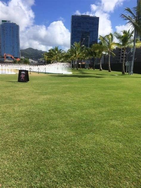 Landscaping Supplier Honolulu Hi