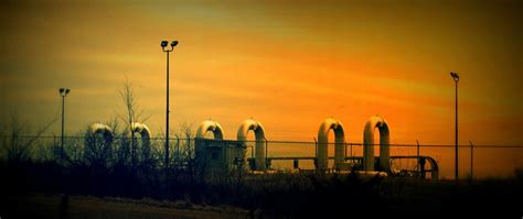 automatically publish a flutter web app on github pages dev community