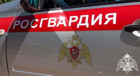 В Подмосковье сотрудники Росгвардии задержали подозреваемого в ранее совершенной краже из