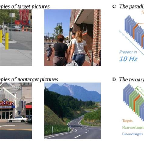 The Paradigm And Examples Of Pictures Used In The Rsvp Experiment Download Scientific