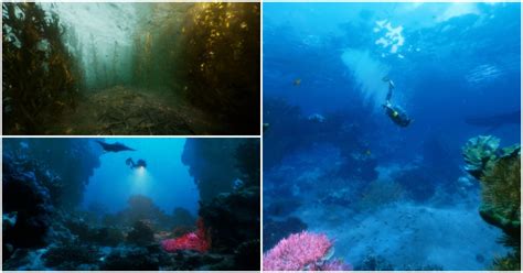 Photorealistic Water Blueprint For Unreal Engine