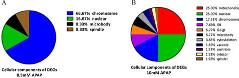 Pie Chart Representation Of Gene Ontology Go Mappings For Degs Of 05