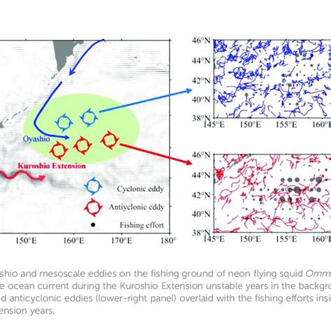 Pdf Evaluating The Impacts Of Mesoscale Eddies On Abundance And Distribution Of Neon Flying