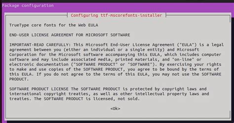 科学数据可视化 Ubuntu系统中安装times New Roman字体和matplotlib设置字体格式 哔哩哔哩