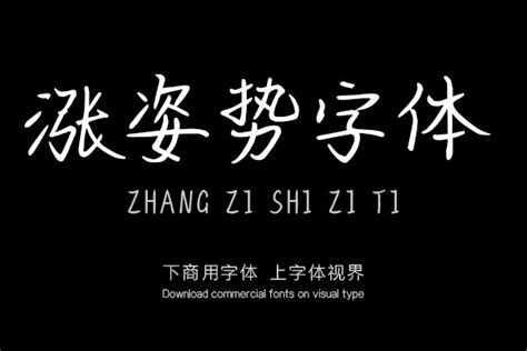 段码字体字打包下载段码字体字体转换段码字体字体图片案例 字体视界