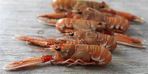 Langoustine Recipes Langoustine Tail Stews Great British Chefs