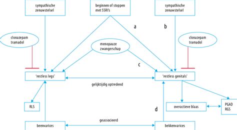 Figuur 2 Verband Tussen Het Restless Genital Syndroom Rgs Het