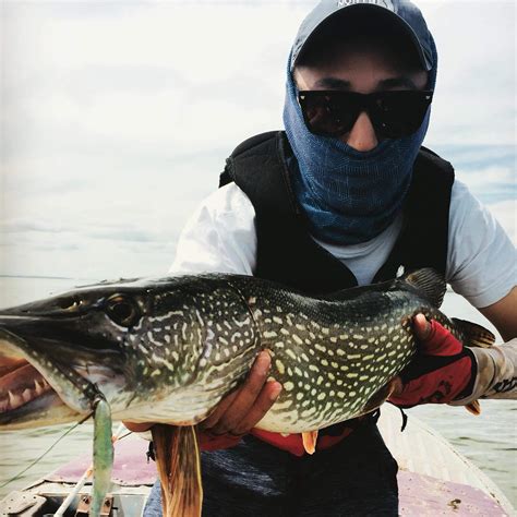 Аягүй сонин юм аа 🤔🍂🎣 загасчнызамнал Powered By Unitel Savor Mongolia Wonderer ахуйн хий