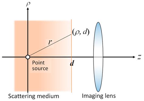 Biology Special Issue Development Of New Optical Techniques And